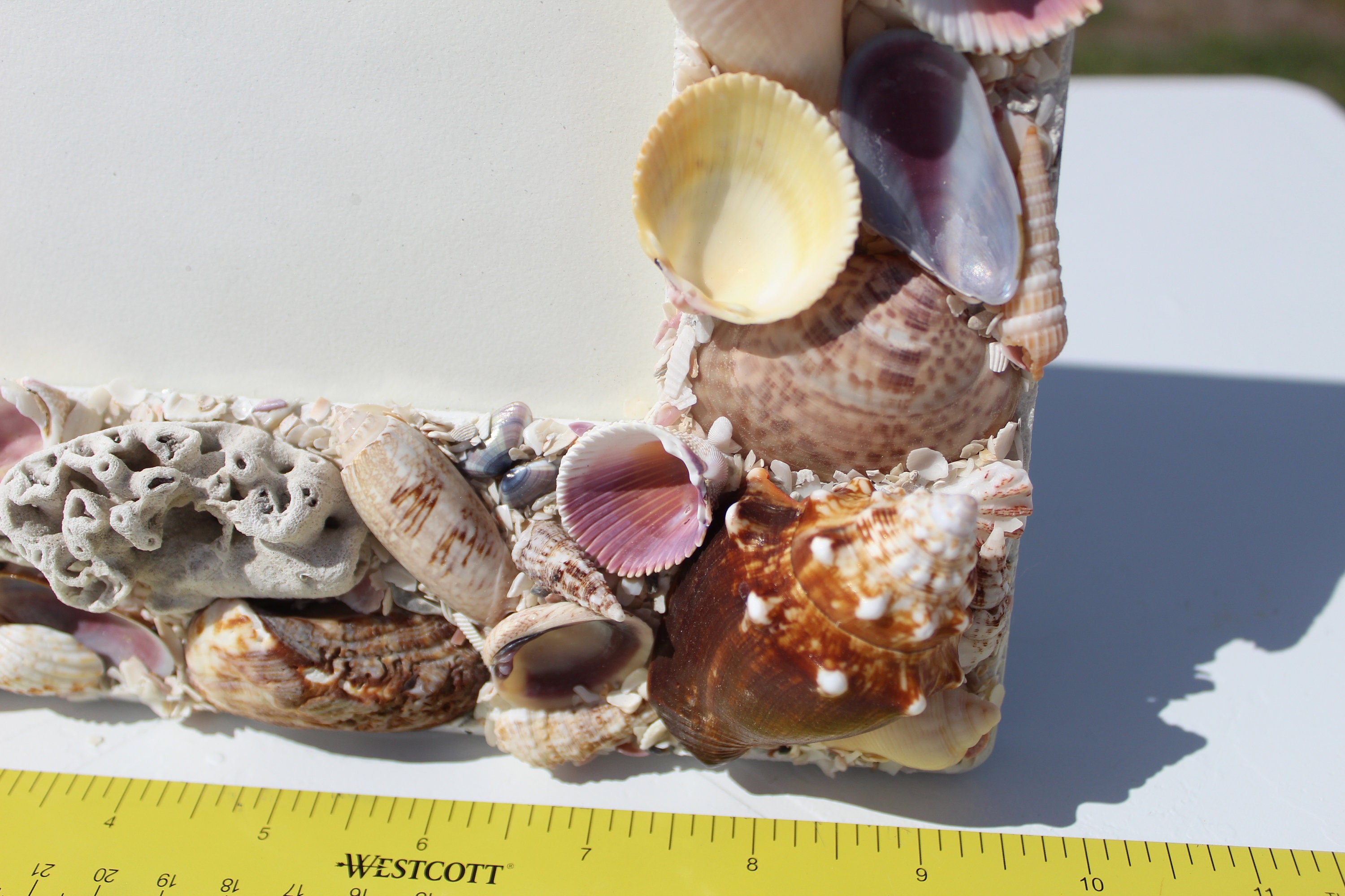 Seashell Frame, Beach Photo Frame, Shell Photo Frame, Shell Frame ...