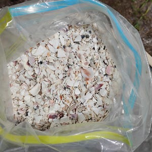 Natural Crushed Shells, 1 Lb Broken Shells, Shell Pieces, Vase Filler ...