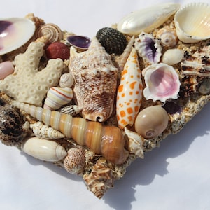 Small Shell Heart, Wood Sea Shell Heart, Handcrafted Heart, Love and ...