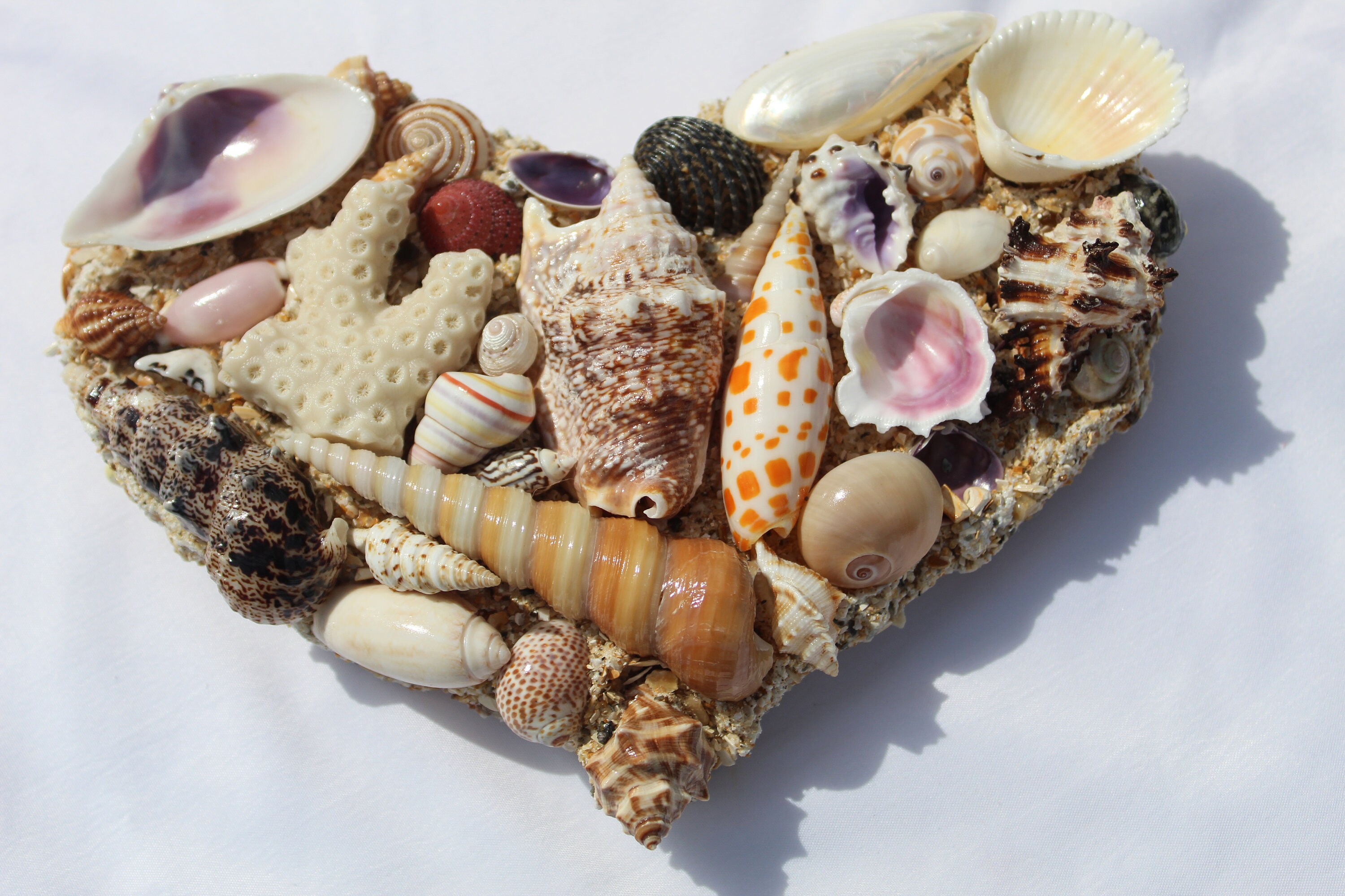 Small Shell Heart, Wood Sea Shell Heart, Handcrafted Heart, Love and ...