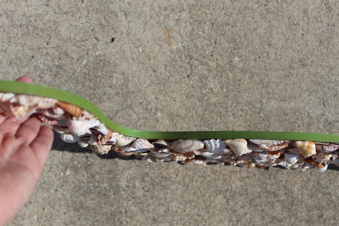 Nursery Shell Dinosaur Wall Decor-dino Bedroom-nursery Decor - Etsy