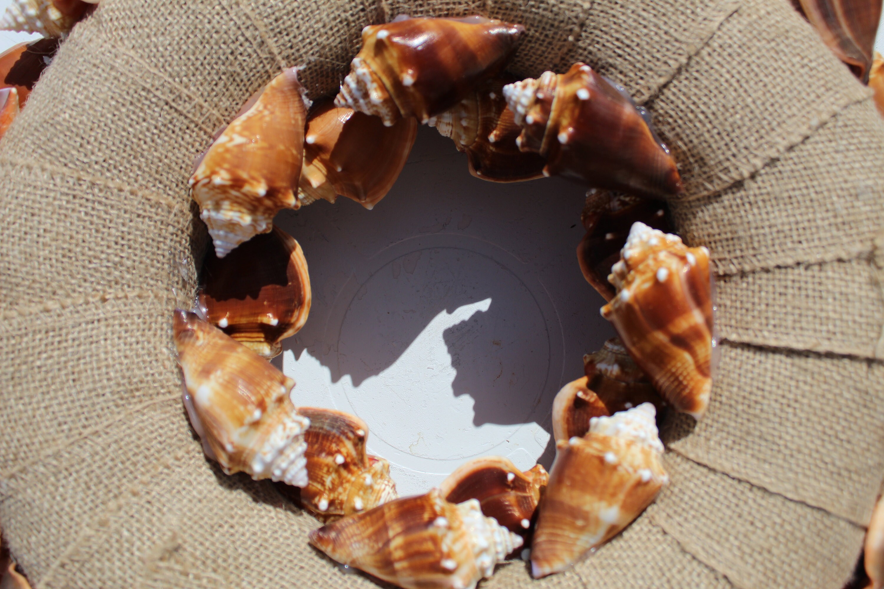 Fighting Conch Shell Wreath, Seashell Wreath, Shell Wall Hanging, Brown ...