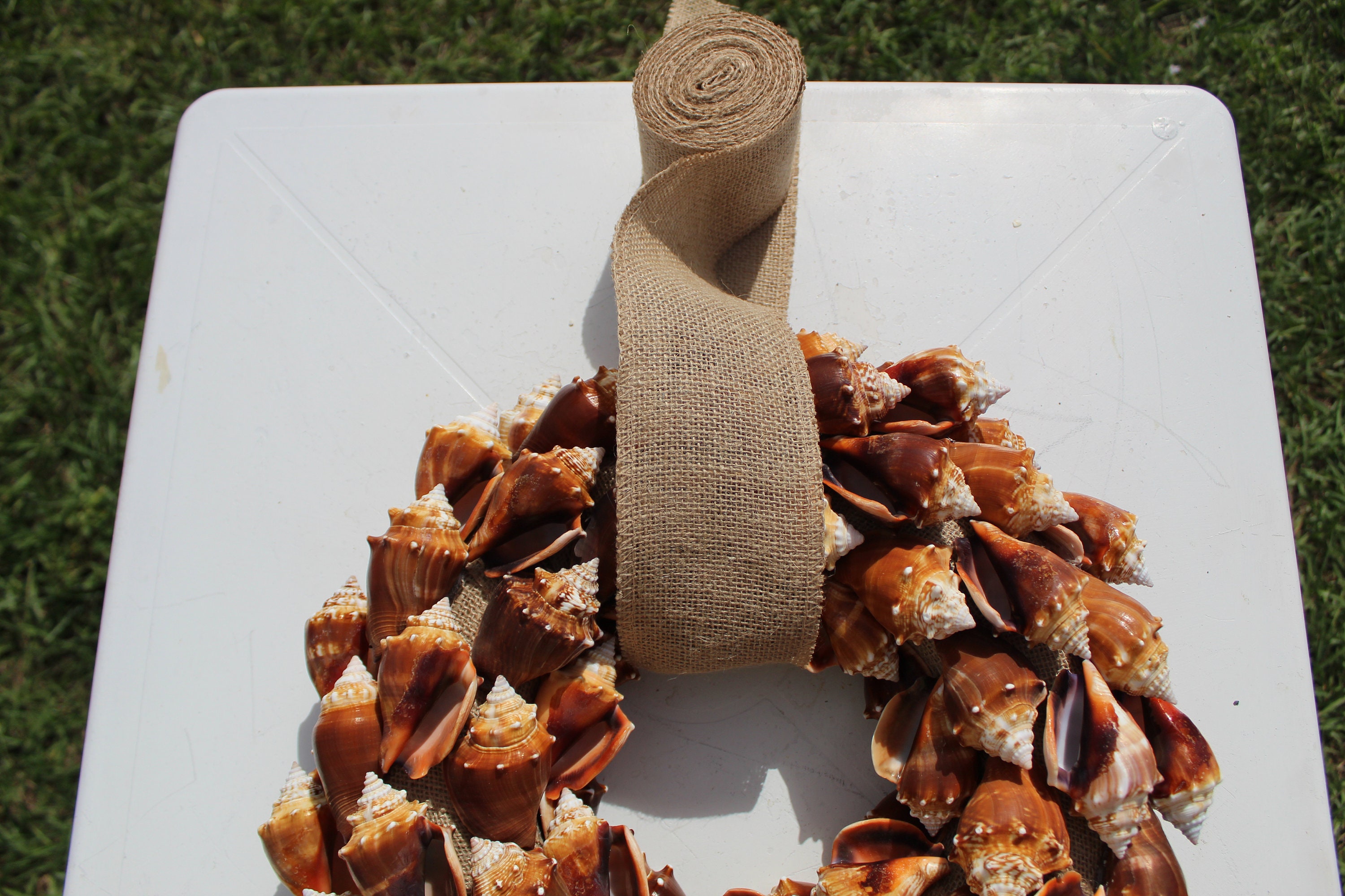 Fighting Conch Shell Wreath, Seashell Wreath, Shell Wall Hanging, Brown ...