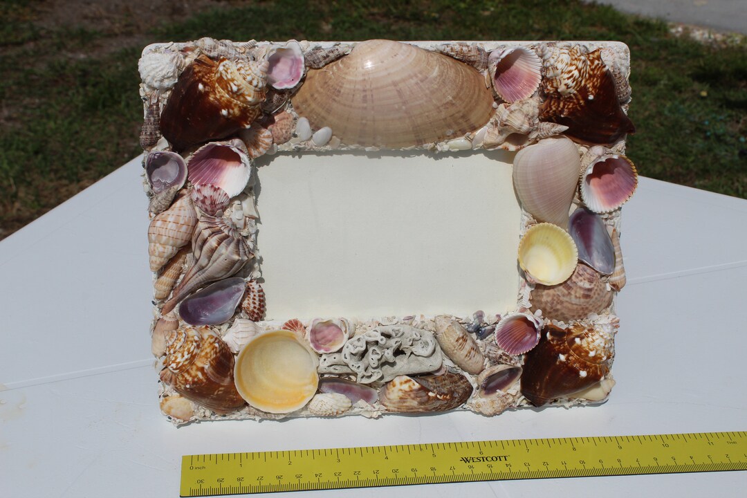 Seashell Frame, Beach Photo Frame, Shell Photo Frame, Shell Frame ...