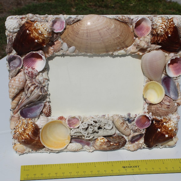 Shell Frame - Etsy