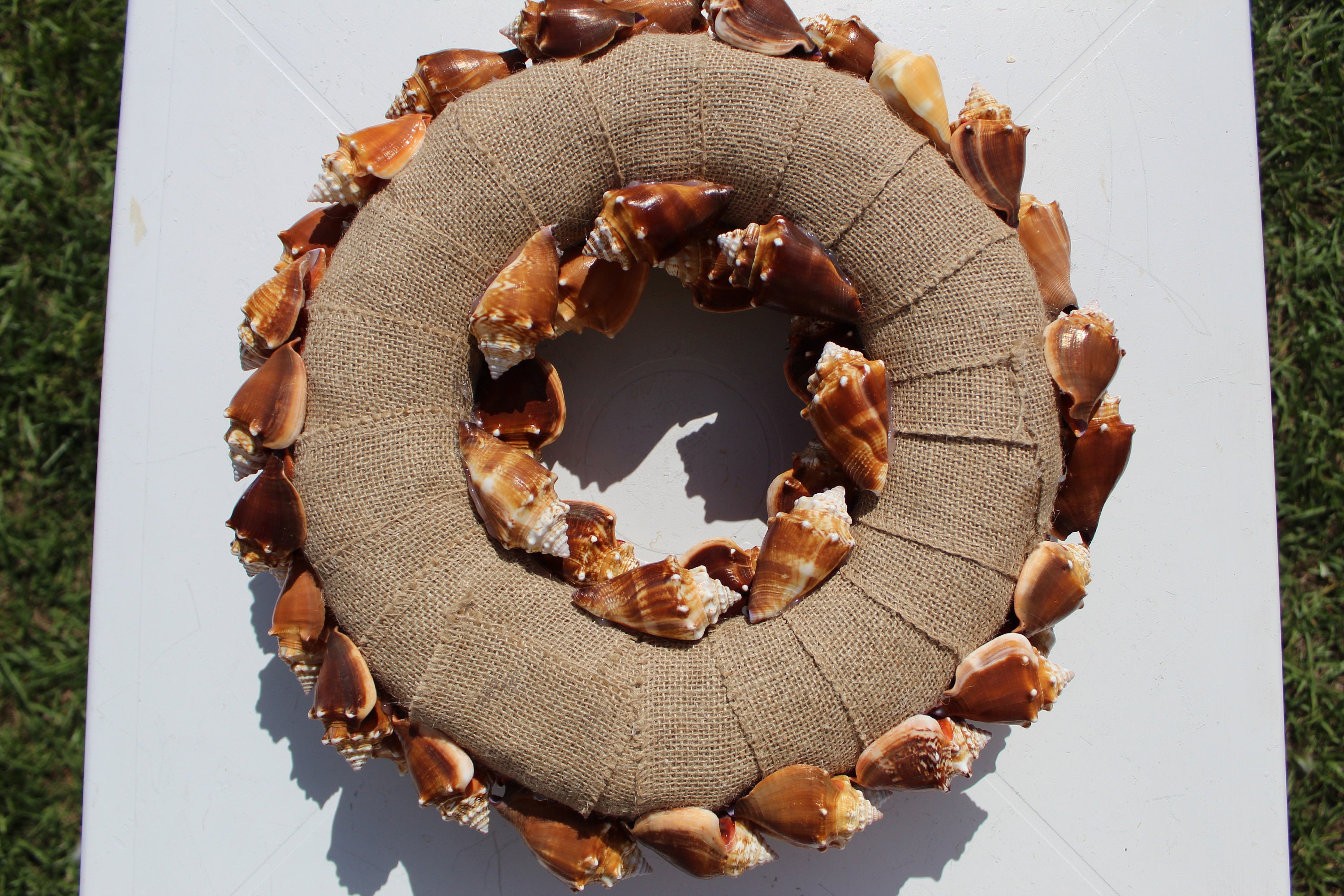 Fighting Conch Shell Wreath, Seashell Wreath, Shell Wall Hanging, Brown ...
