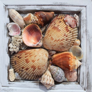 Resin Shell Wall Hanging for Beach Decor, Shell Art for Coastal Home ...