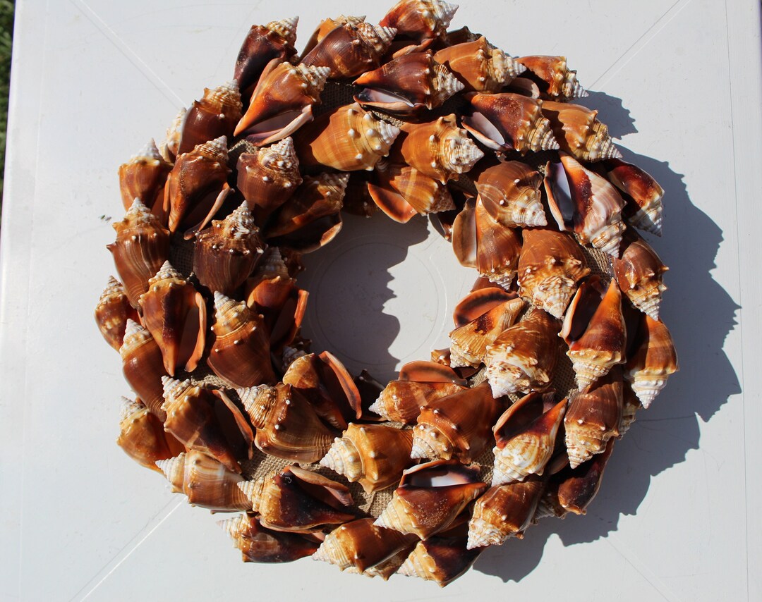 Fighting Conch Shell Wreath, Seashell Wreath, Shell Wall Hanging, Brown ...