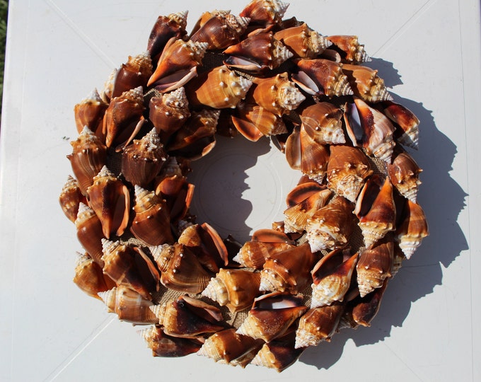 Fighting Conch Shell Wreath, Seashell Wreath, Shell Wall Hanging, Brown ...