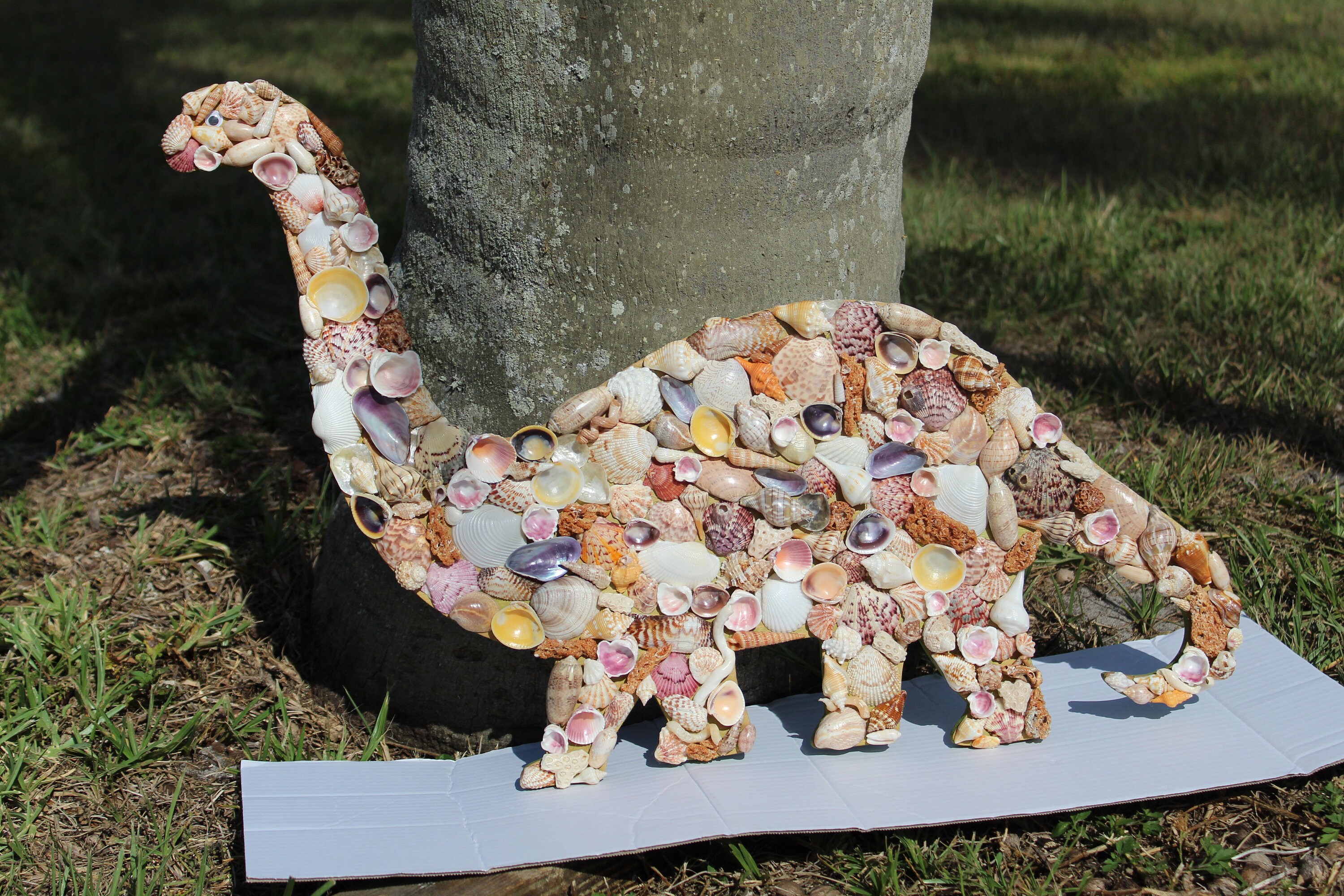 Nursery Shell Dinosaur Wall Decor-dino Bedroom-nursery Decor for Baby ...