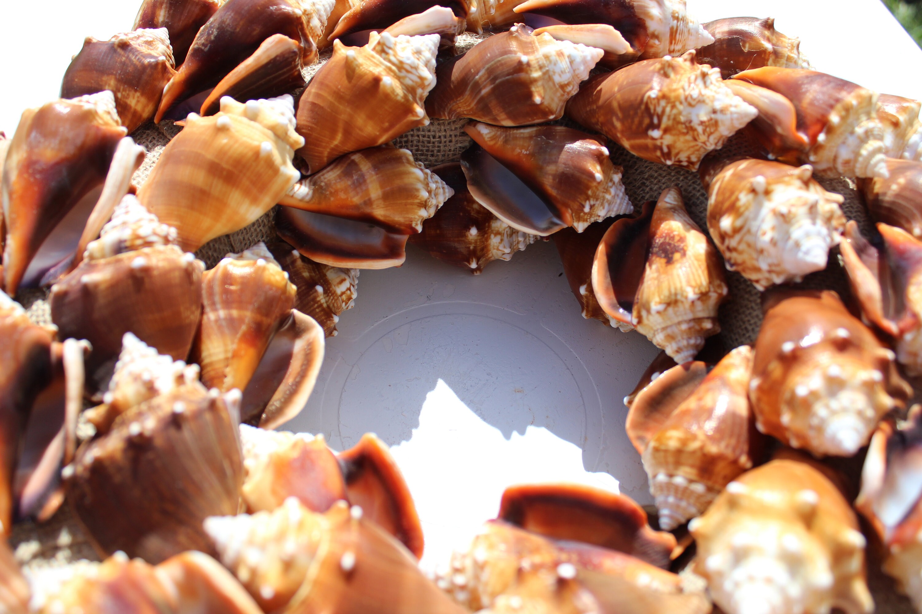 Fighting Conch Shell Wreath, Seashell Wreath, Shell Wall Hanging, Brown ...