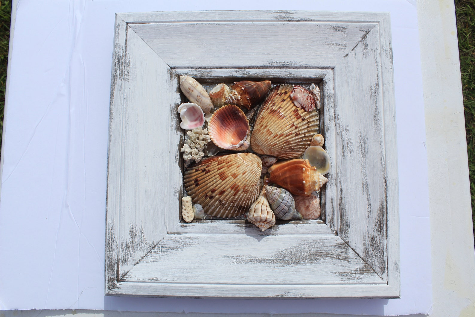 Resin Shell Wall Hanging for Beach Decor, Shell Art for Coastal Home ...