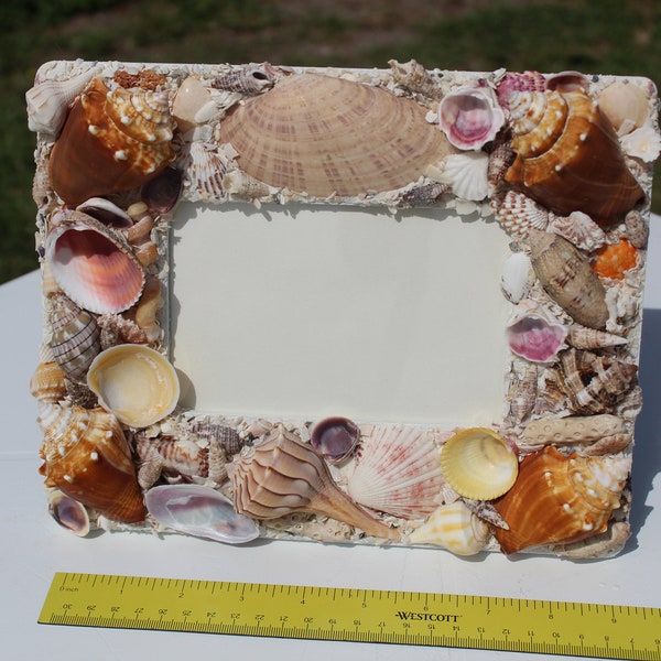 Seashell Frame - Etsy