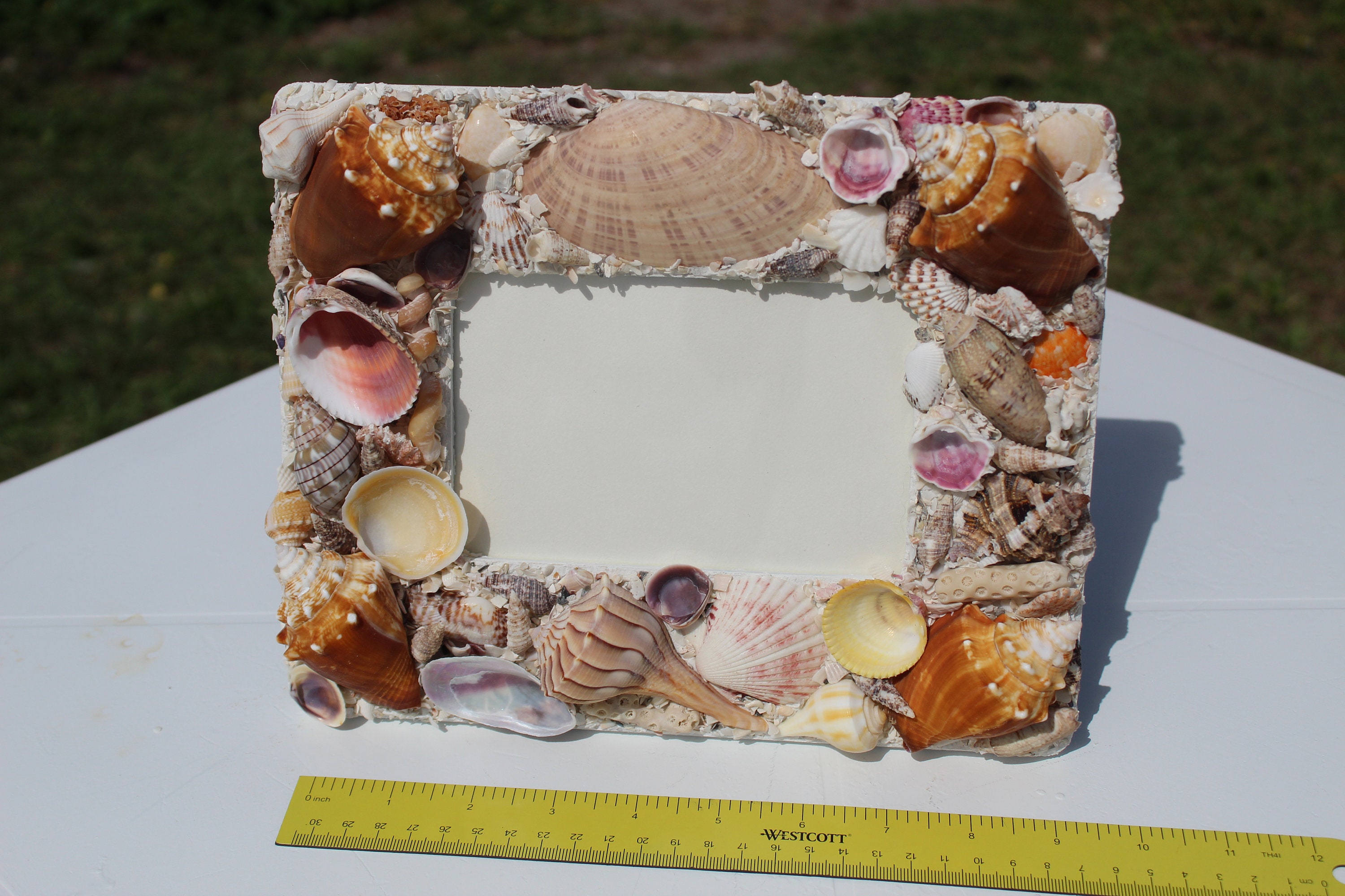 Seashell Frame, Beach Photo Frame, Shell Photo Frame, Shell Frame ...