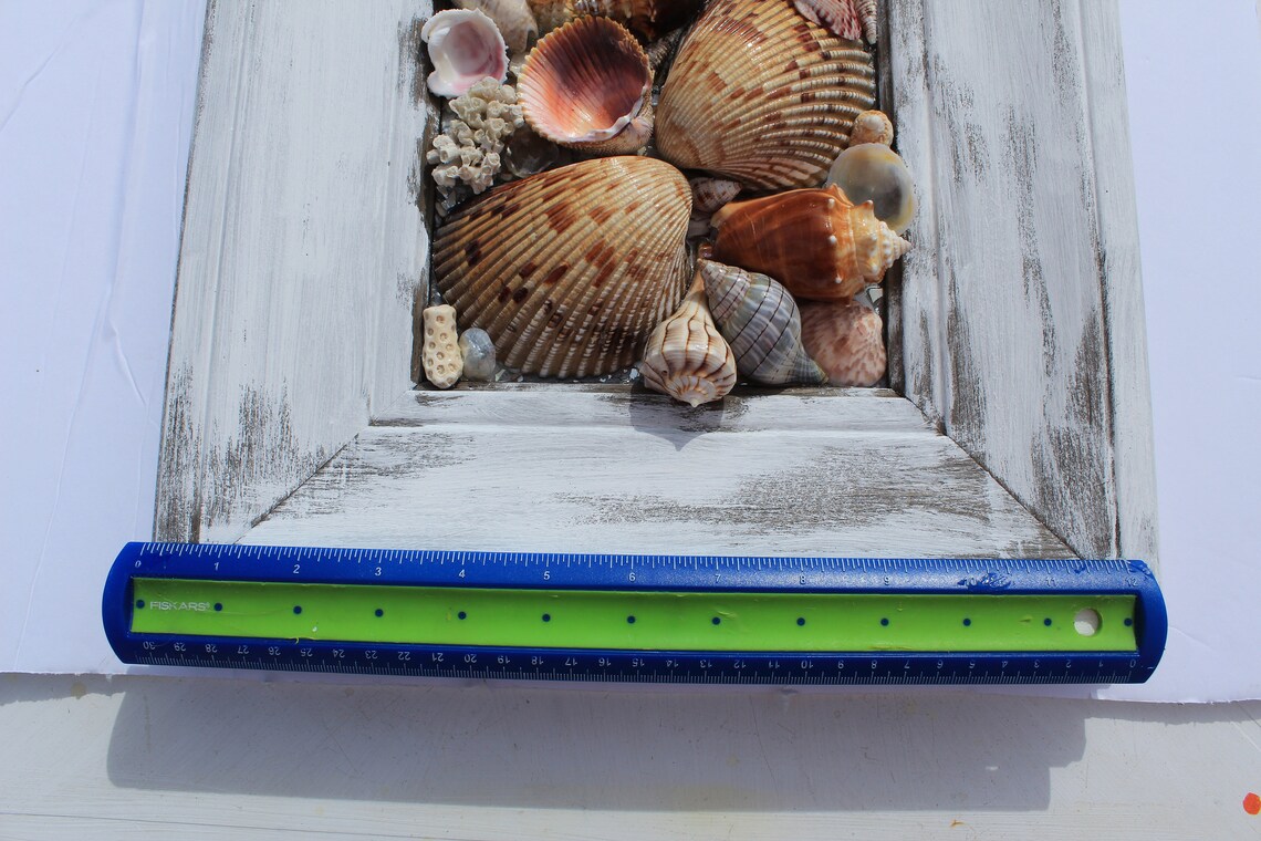 Resin Shell Wall Hanging for Beach Decor, Shell Art for Coastal Home ...