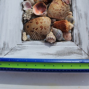 Resin Shell Wall Hanging for Beach Decor, Shell Art for Coastal Home ...