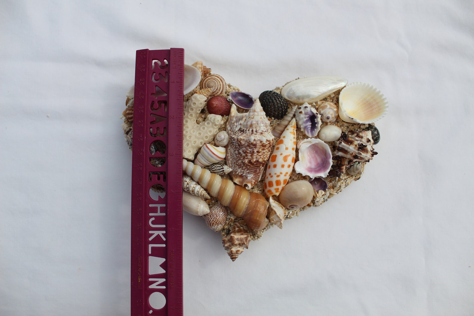 Seashell Heart Wall Decor, Handcrafted Coastal Art (7.75x5.75) - Etsy