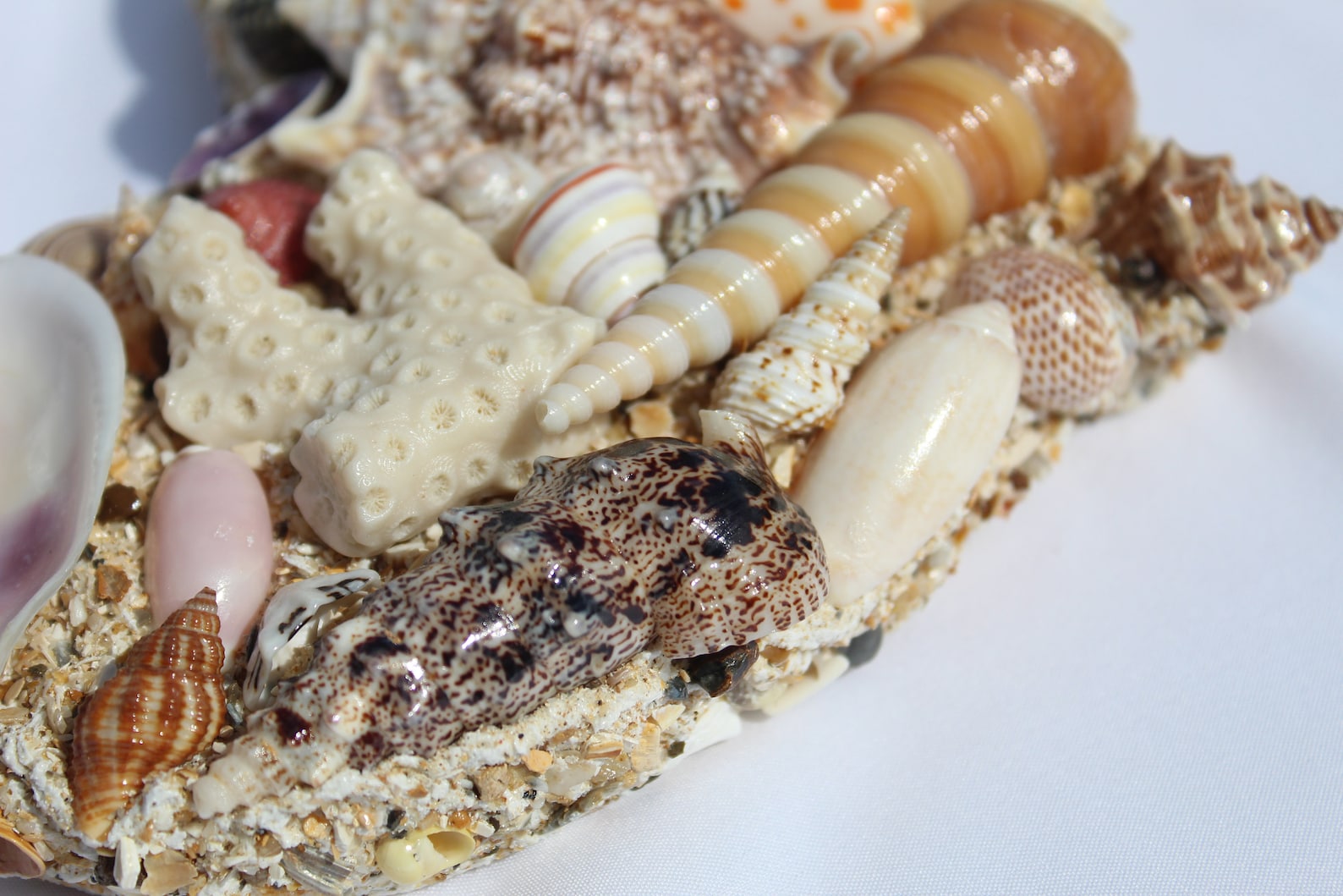 Small Shell Heart, Wood Sea Shell Heart, Handcrafted Heart, Love and ...