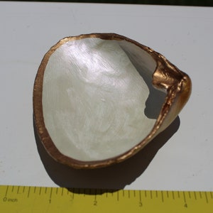 Gold Lined Clam Shell Trinket Dish, Pearlized Jewelry Holder - Etsy