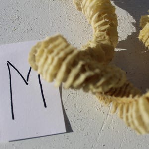 Whelk Egg Case, Spiral Egg Case, Sea Shell Case, Keewaydin, Egg Casing ...