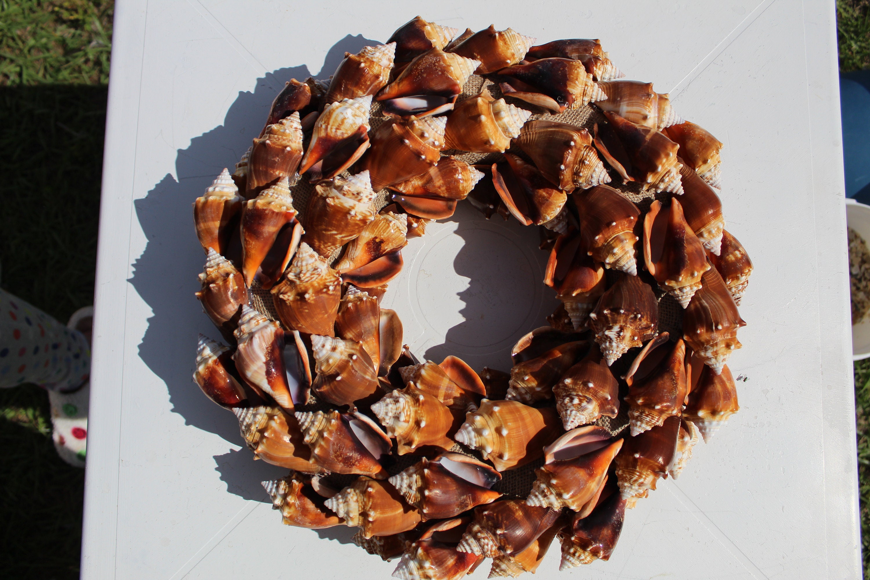 Fighting Conch Shell Wreath, Seashell Wreath, Shell Wall Hanging, Brown ...