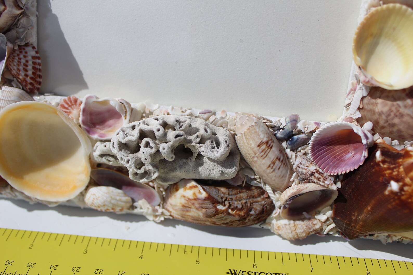 Seashell Frame, Beach Photo Frame, Shell Photo Frame, Shell Frame ...