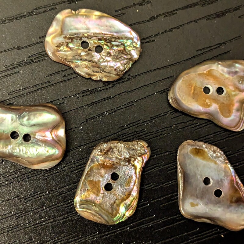 Abalone Buttons - Etsy