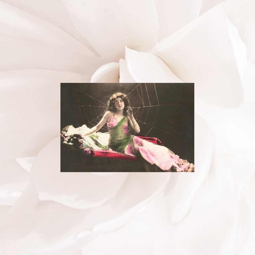 Fantasy Spider Web Lady Vintage Image Poster Print Paper or Foam Board ...