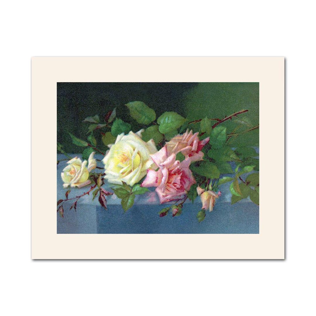 Spray of Roses Vintage Image Poster Print - Etsy