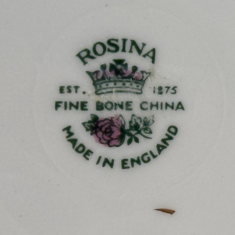 Vintage 1960s Rosina English Bone China Cup and Saucer--urns With ...