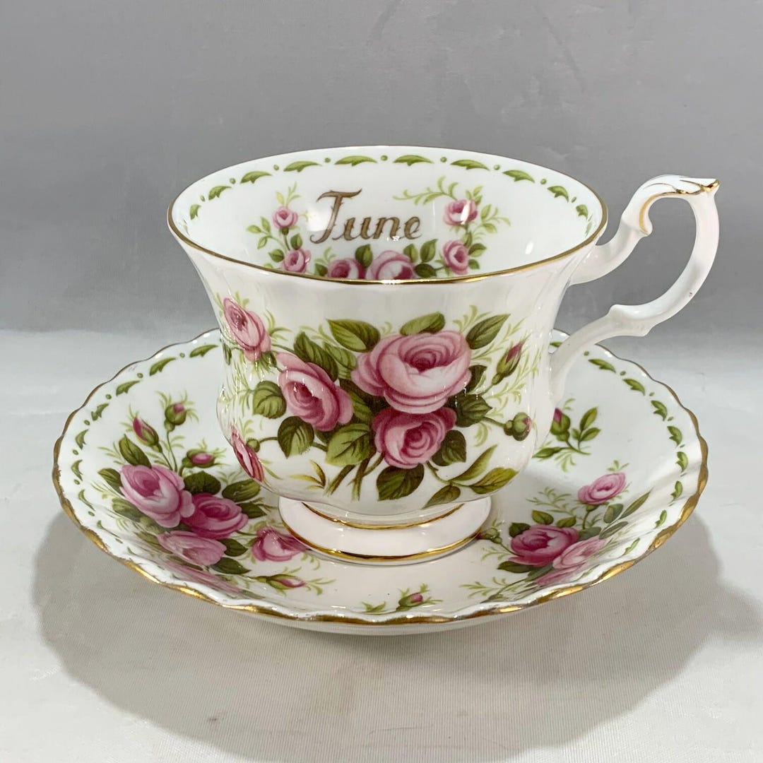Royal Albert June Cup and Saucer--pink Roses - Etsy