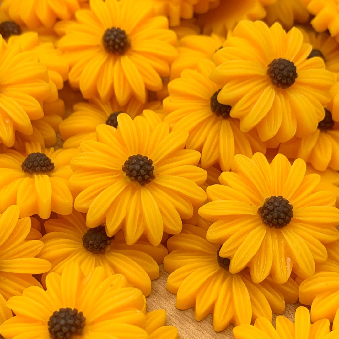 Fake Yellow Daisy ** Fake Yellow Flower, Beautiful Flower, Spring ...