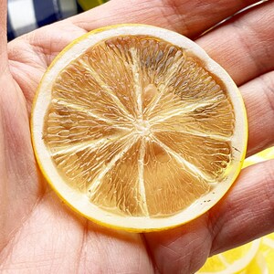 Set of 2 * Artificial Lemon Pieces, Plastic Lemon Pieces for Party ...