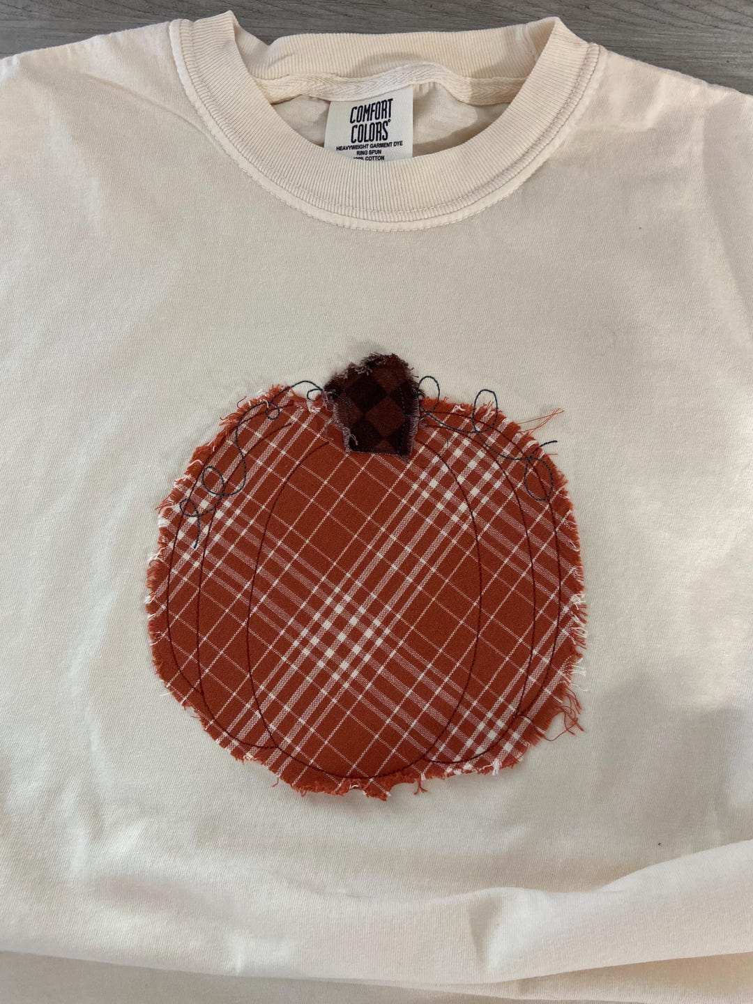 PUMPKIN COMFORT COLORS Embroidered Raggy - Appliqué Raggy Pumpkin - Simple Fall Pumpkin Crewneck ...