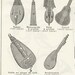 Antique Ancient Musical Instruments Print From 1938. Harpsichord Vielle ...