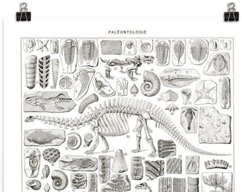 Large Anatomy Poster Classroom - Etsy