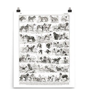 Extra Large Dog Wall Art Giclee Reprint for Dog Lover Gift. - Etsy