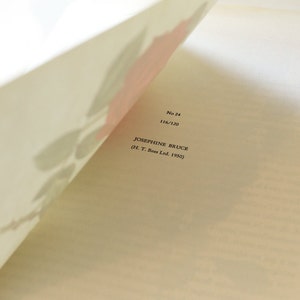 Red Rose Flower Art, 1962 Vintage Botanical Art, Soraya Rose Flowers ...