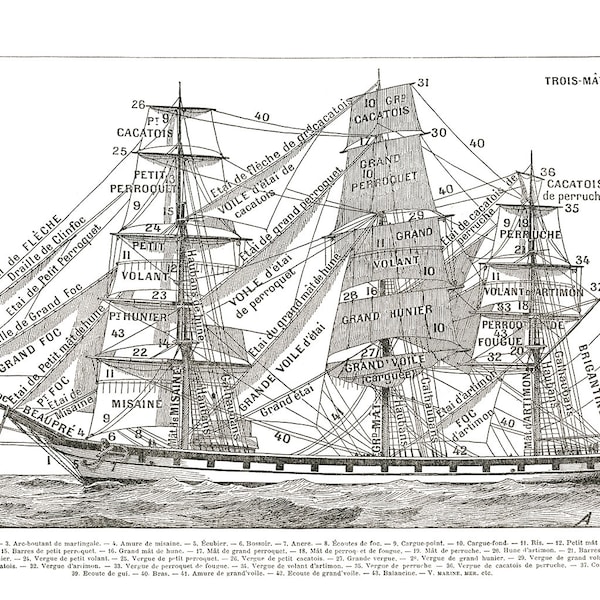 Sailing Poster - Etsy