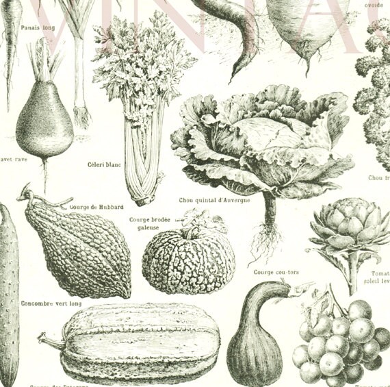 Vegetables Print 1948 Vintage Kitchen Decor Vegetable Poster - Etsy UK