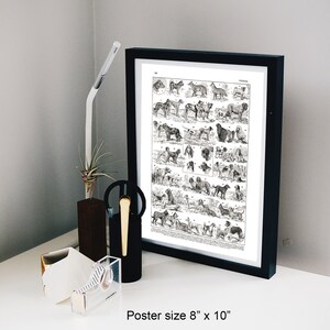 Extra Large Dog Wall Art Giclee Reprint for Dog Lover Gift. - Etsy