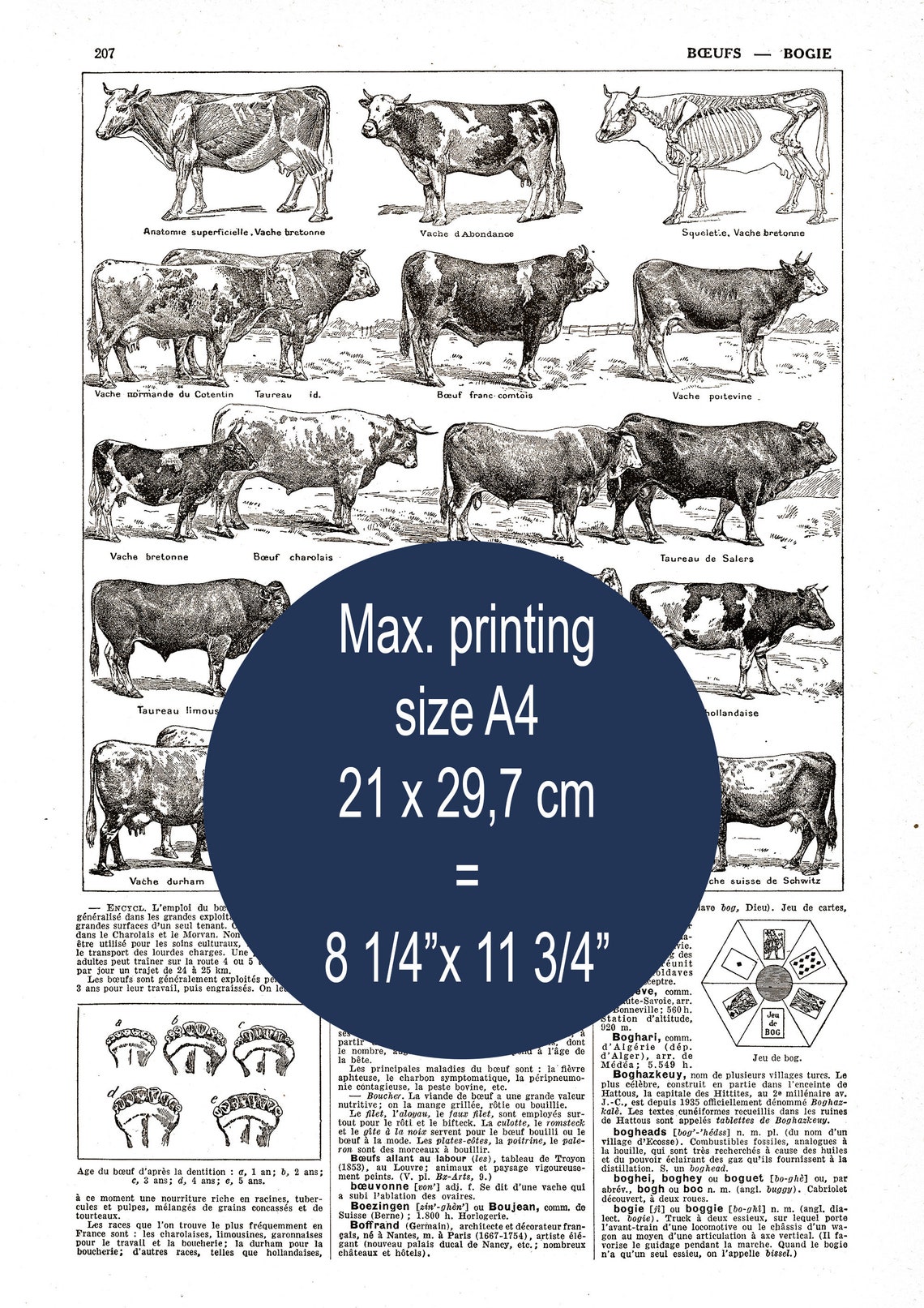 A4 Printable Cow Art. Small Black and White Farm Animal - Etsy