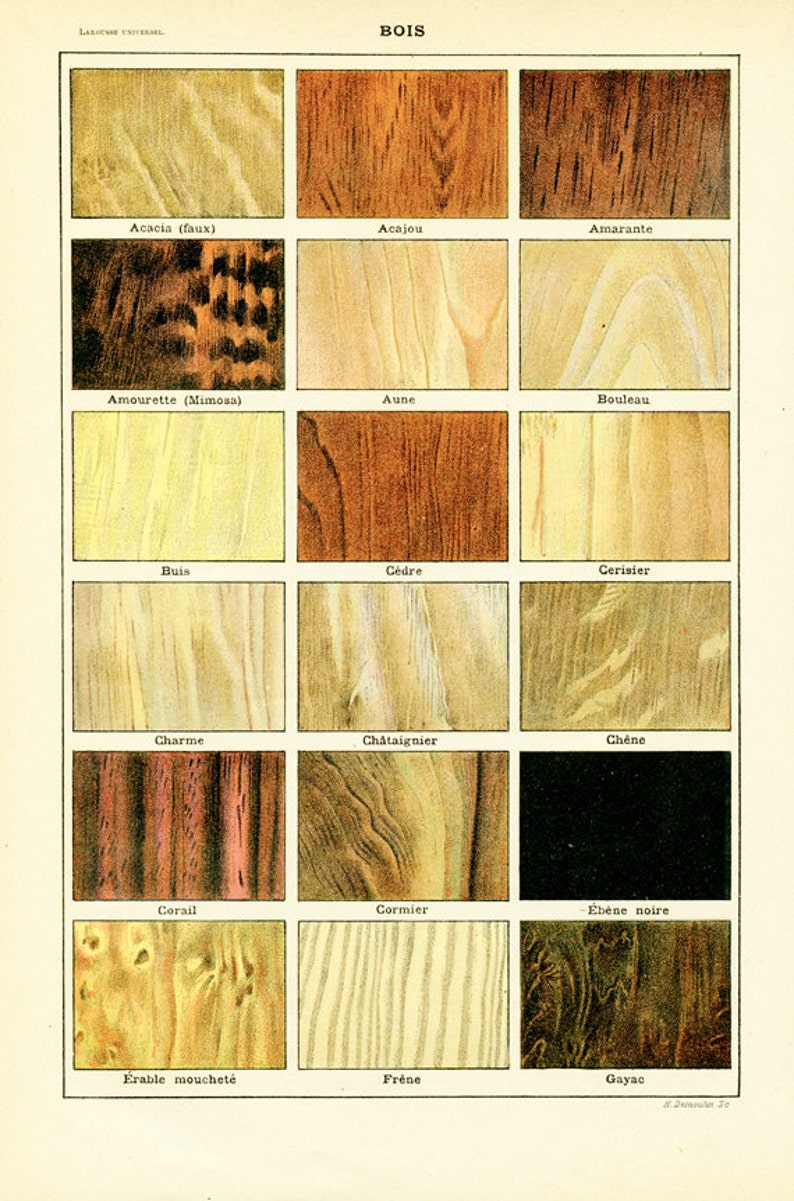 Woodcutter Poster 1922 Vintage Precious Wood Poster Logger | Etsy