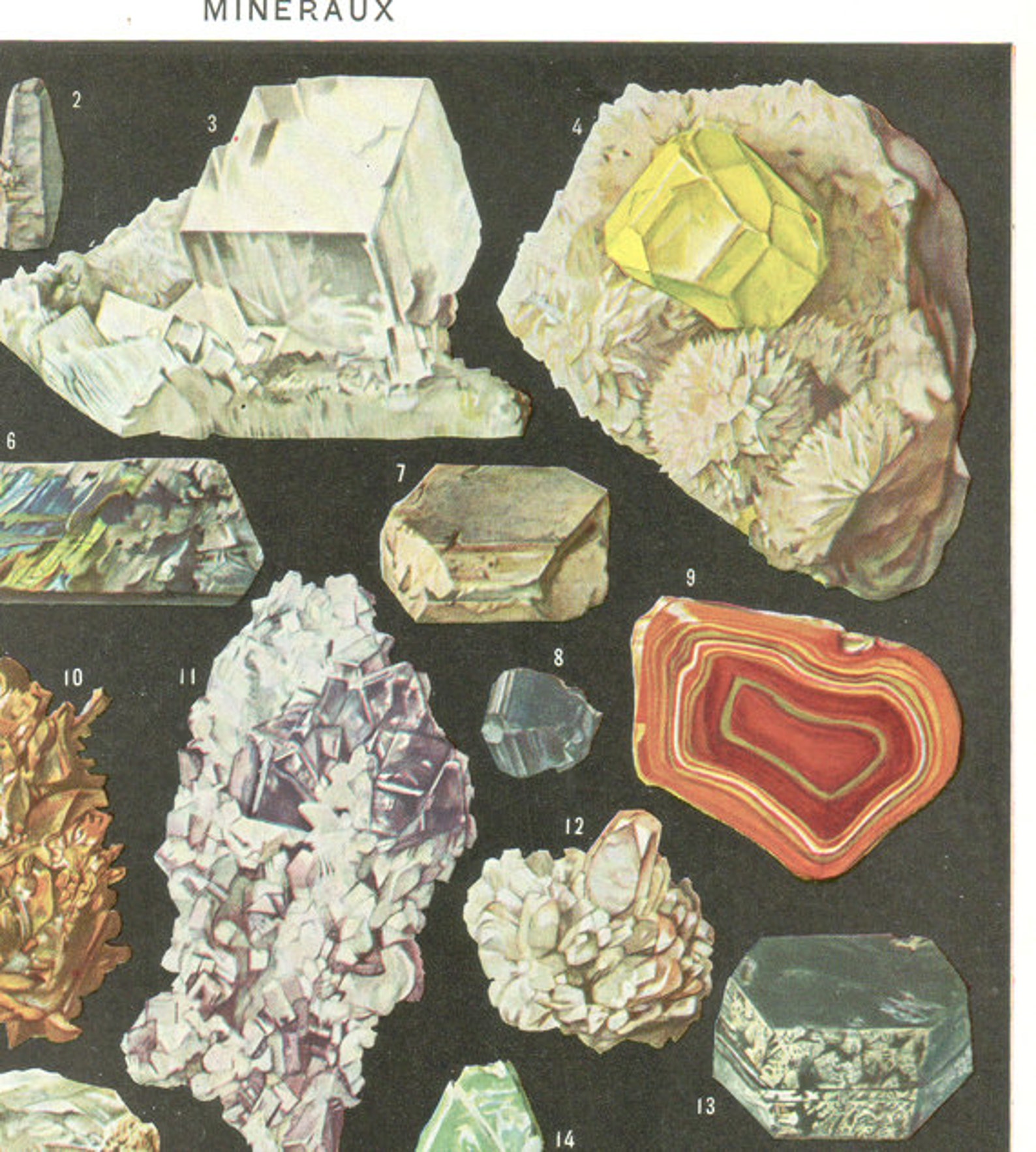 Minerals Poster 1948 Vintage Minerals Print Geology Poster Geology Gift ...