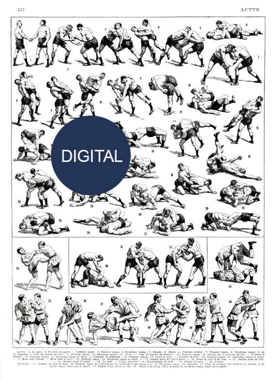Large Format Printable Wrestling Poster Vintage Wrestling Print ...
