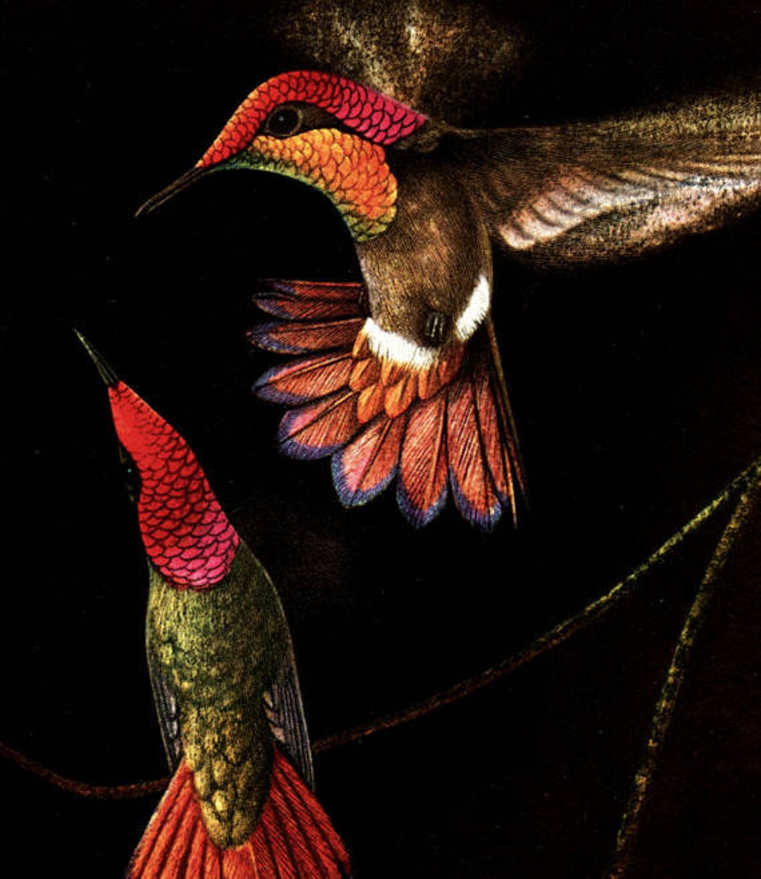 Vintage Ruby Topaz Hummingbird Art From 1961. Hummingbird Gift. Small ...