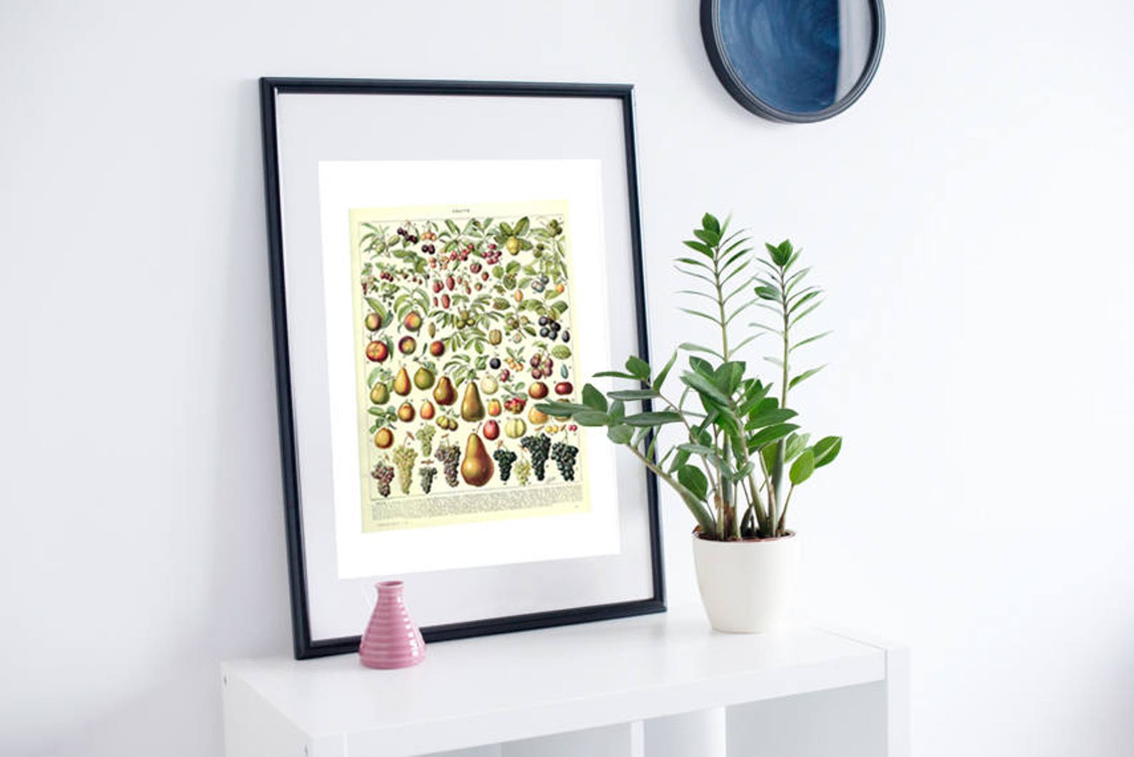 1936 Poster de légume vintage Déco de cuisine vintage Illustration d ...