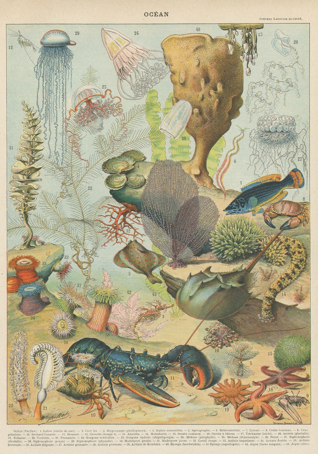 1897 Vintage Sea Poster Oceanography Poster Marine Poster Vintage Sea ...