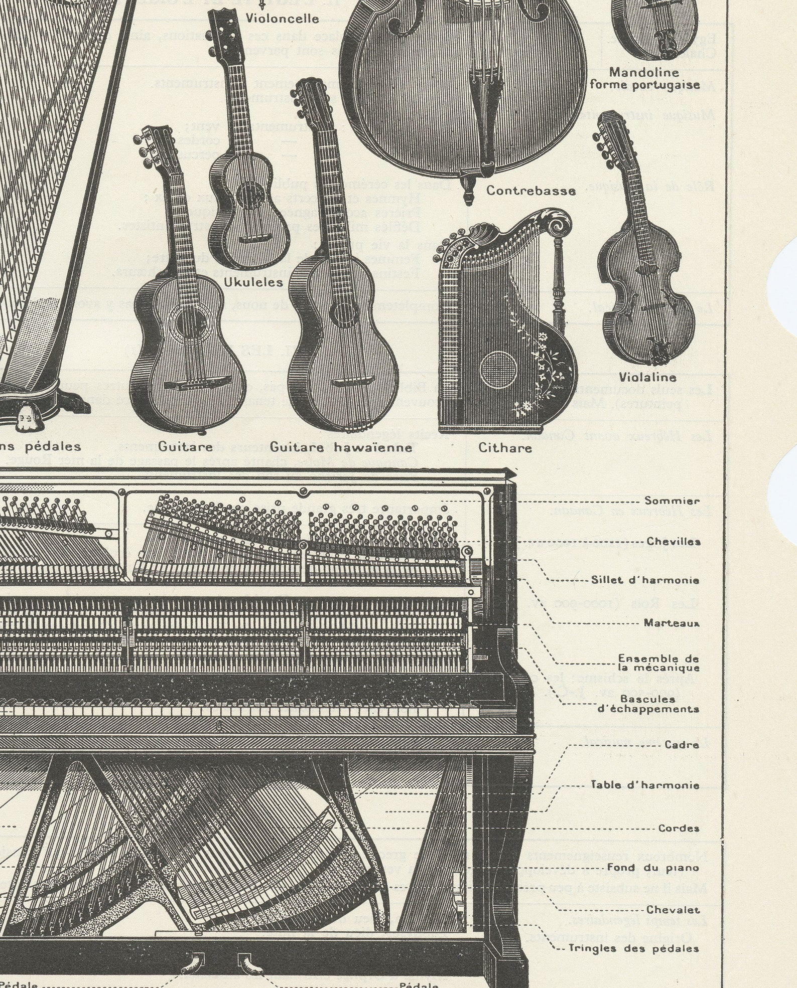 Antique Musical Instruments Print From 1938. Piano Strings - Etsy
