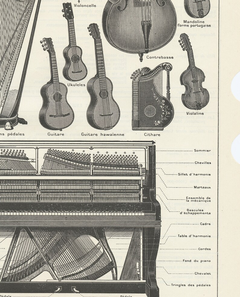 Antique Musical Instruments Print From 1938. Piano Strings - Etsy